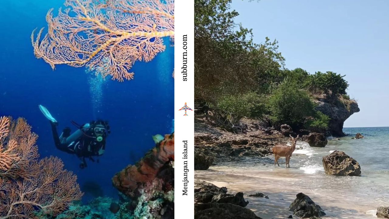 Top 8 Things To Do in Buleleng [Lovina Beach]